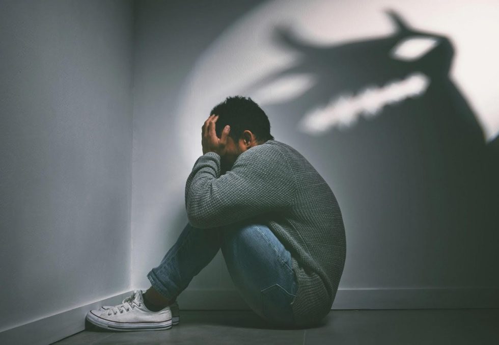 Effects of Fear on Behavior: Brain Science & Solutions